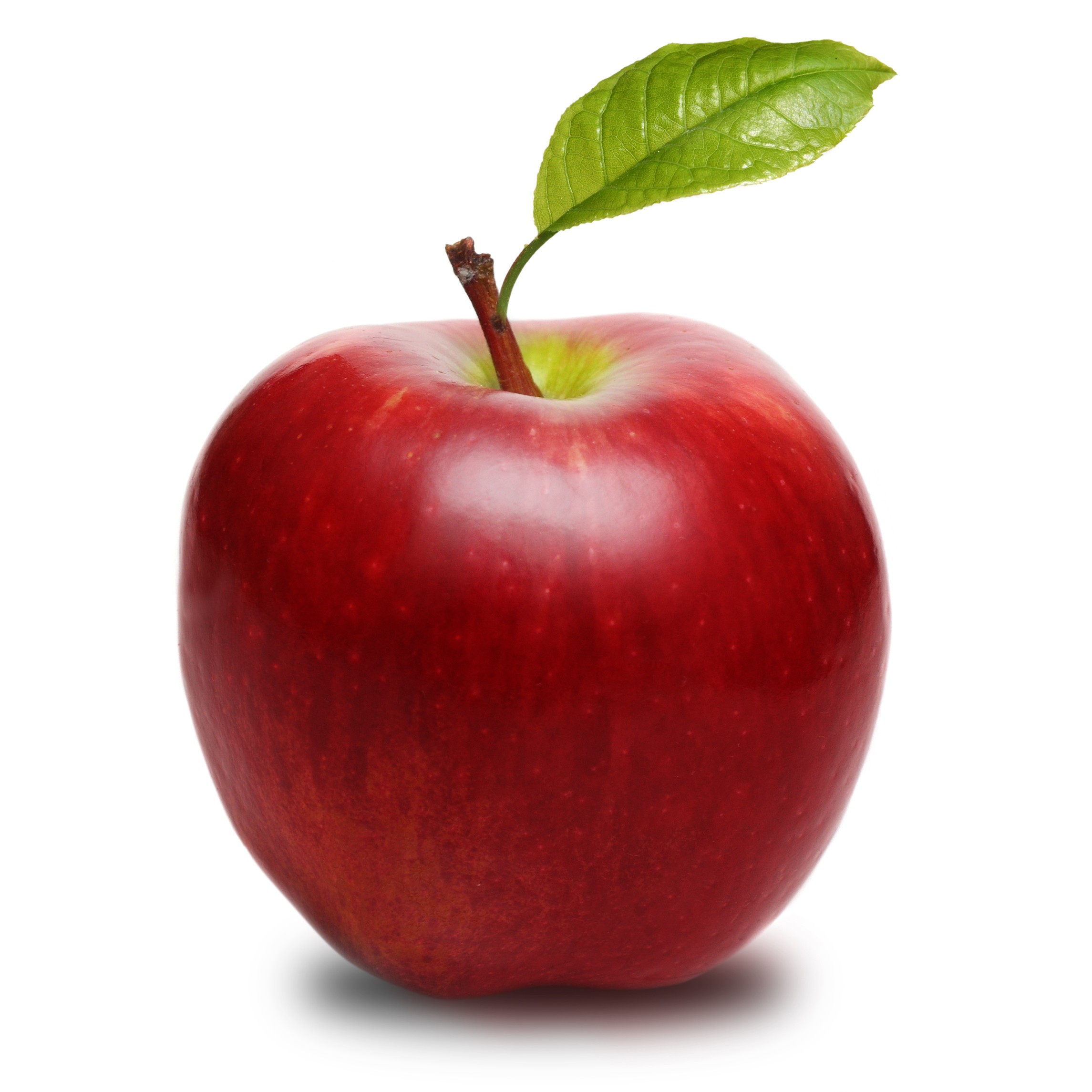 They Will Know Us By Our Fruit Untold